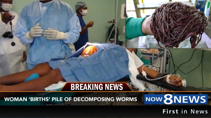 Woman Rushed to Emergency Room 'Births' Pile of Decomposing Worms ...
